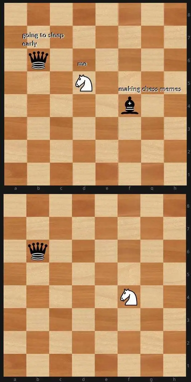 Chess memes - Memepedia - Медиаплатформа МирТесен